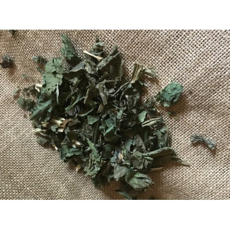 Laitue vireuse - Label land Herboratheque